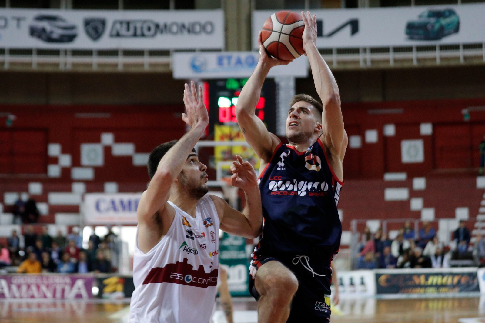 Serie A2 - Assigeco, sconfitta indolore: Trapani vince ma Piacenza direttamente ai playoffs
