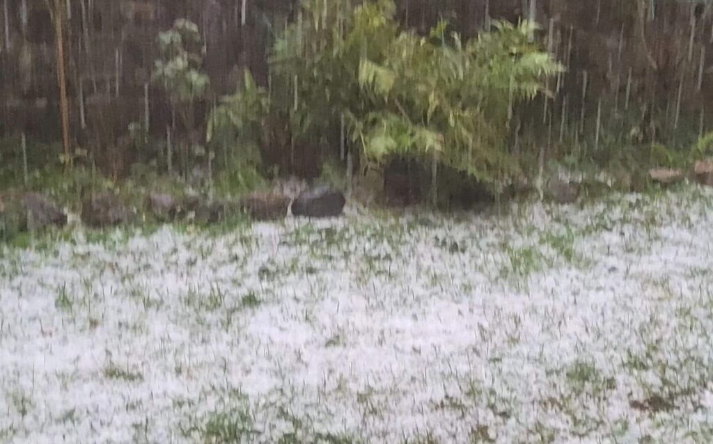 Temporali e forti grandinate in Val Trebbia e Val Nure