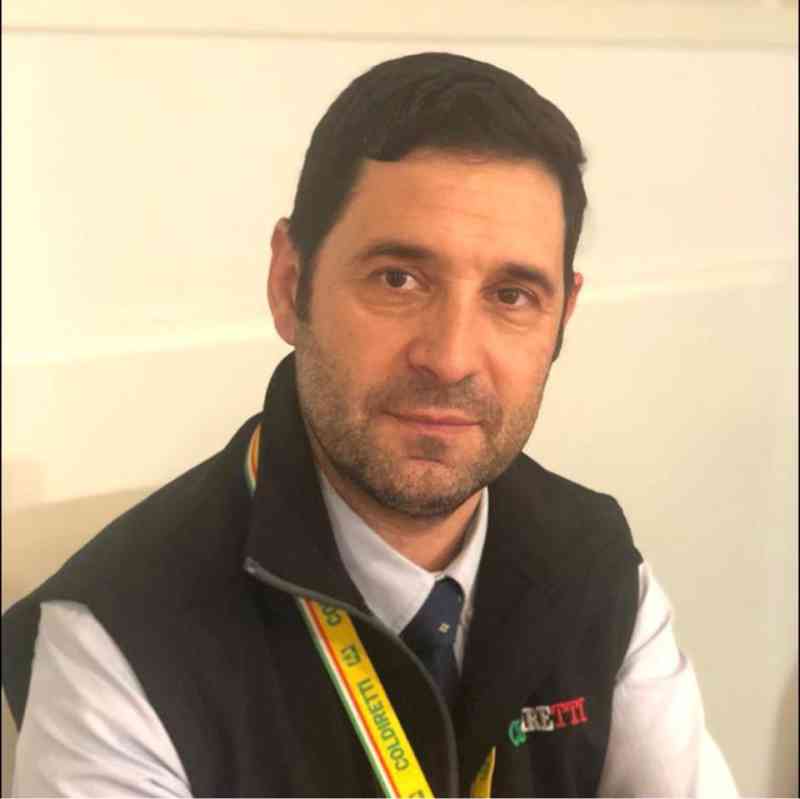 Sandra Politi's Instagram, Twitter & Facebook on IDCrawl